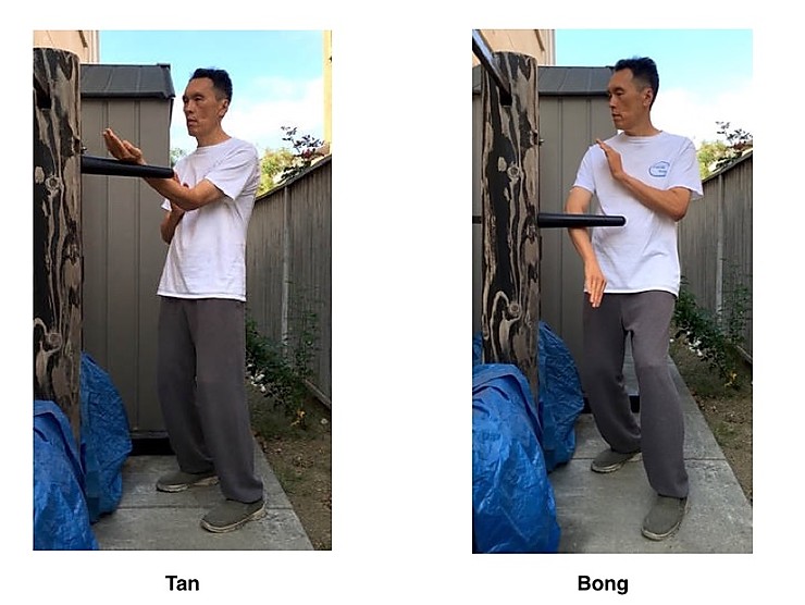 Wing Chun - The Sticking Body, Short Strike Art » WCO